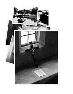 Lyson inks Epson 1290 Cartridges - Fotonic