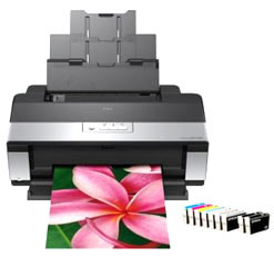 Epson R2880 - Epson Ink Cartridges